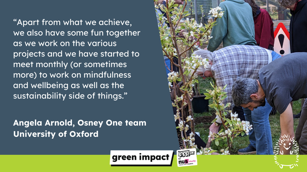 Green Impact | Students Organising for Sustainability | Green Impact is ...